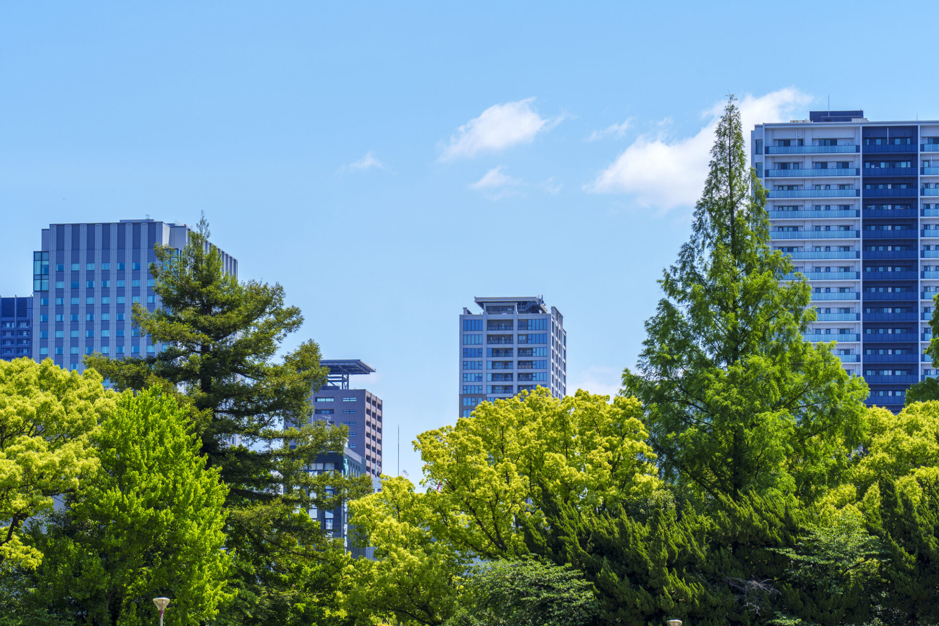 会社概要 - パークプレイス エステート株式会社